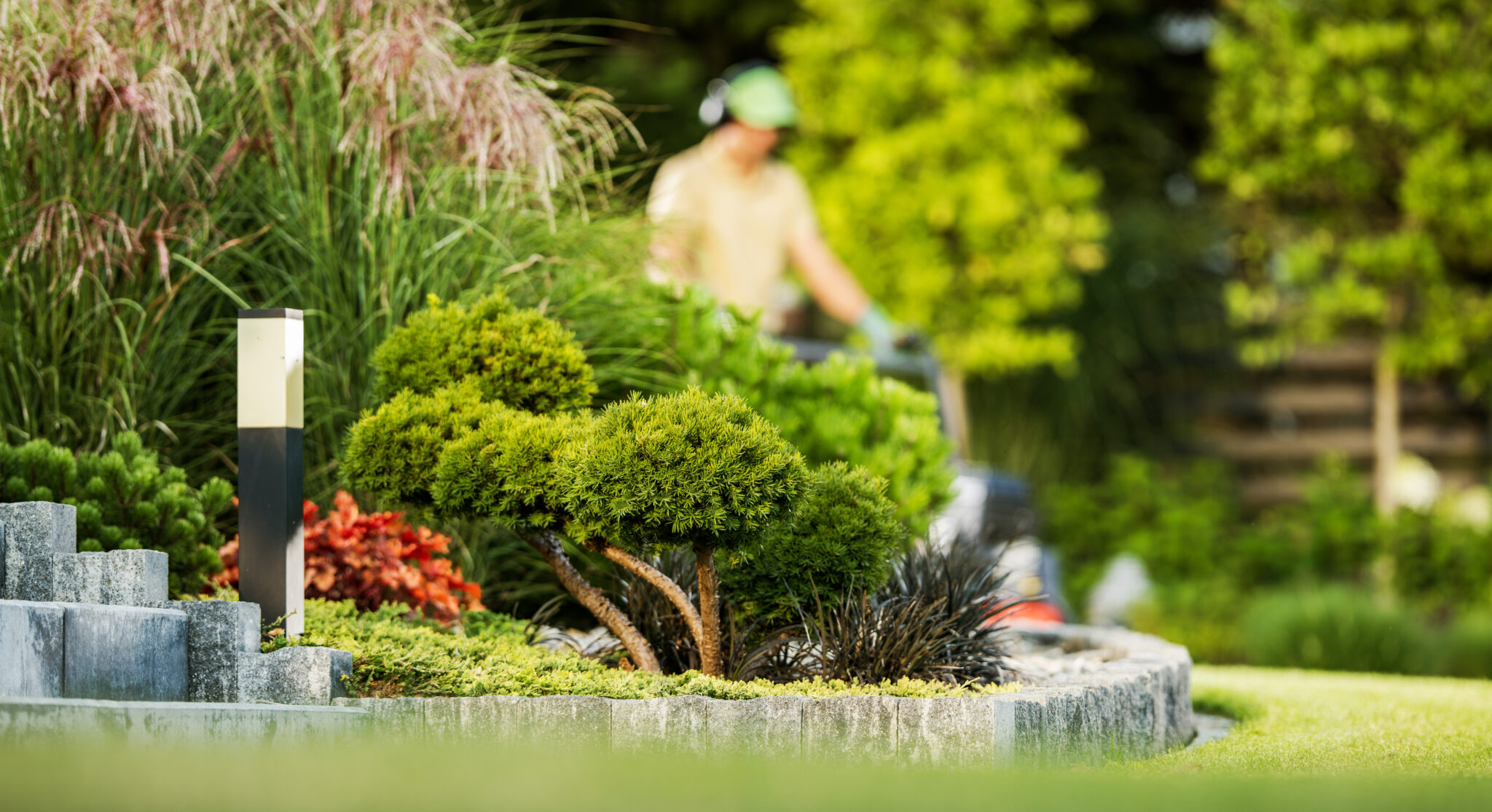 Garden Landscaping Dubai | Design & Care – Ace Maintenance